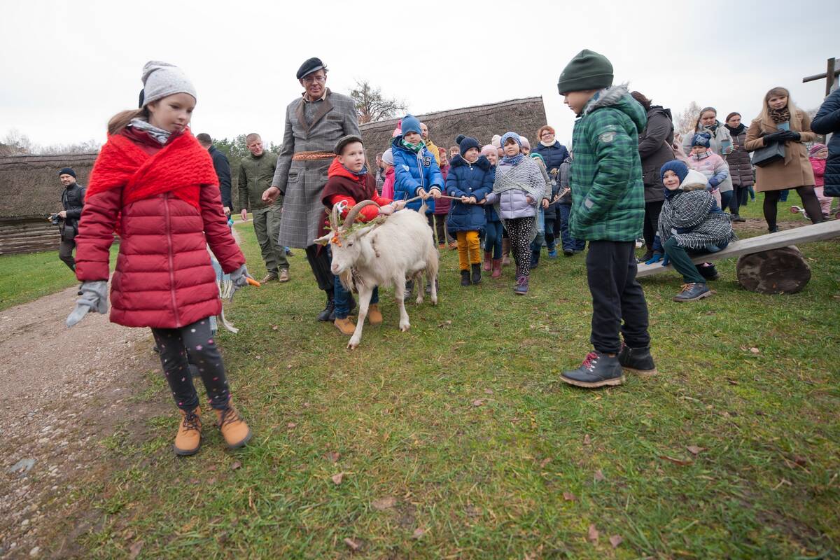 Kas darganotą lapkritį pranašauja orus: baltas ožys, šv. Martynas ar gerai nupenėta žąsis?